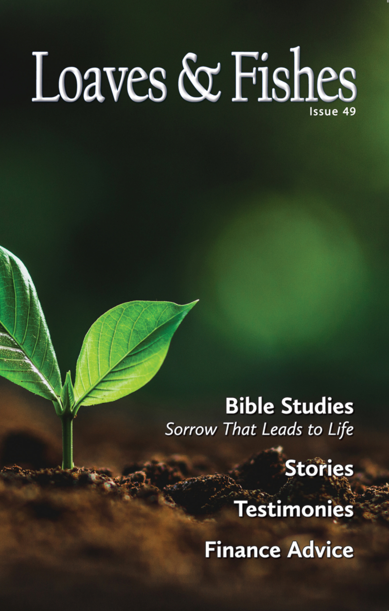 August 2023 Update: Choices! | Lighthouse Publishing